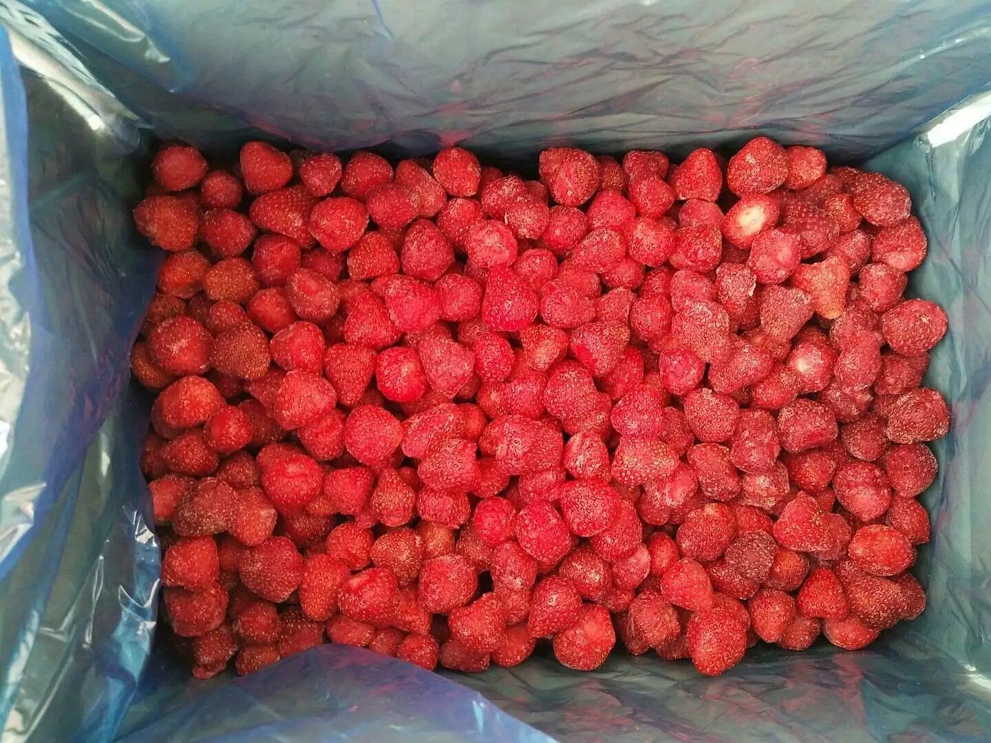 Fraise congelée par volume artificiel de couleurs avec les matrices ...